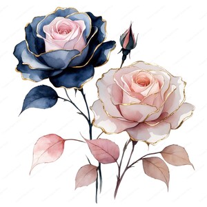 49 Navy and Blush Floral Clipart, Blush Floral Clipart, Navy Flowers ...