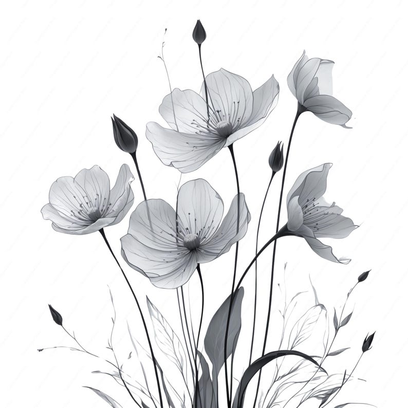 8 Wildflower Watercolor Clipart: Black & White Floral Designs (digital ...