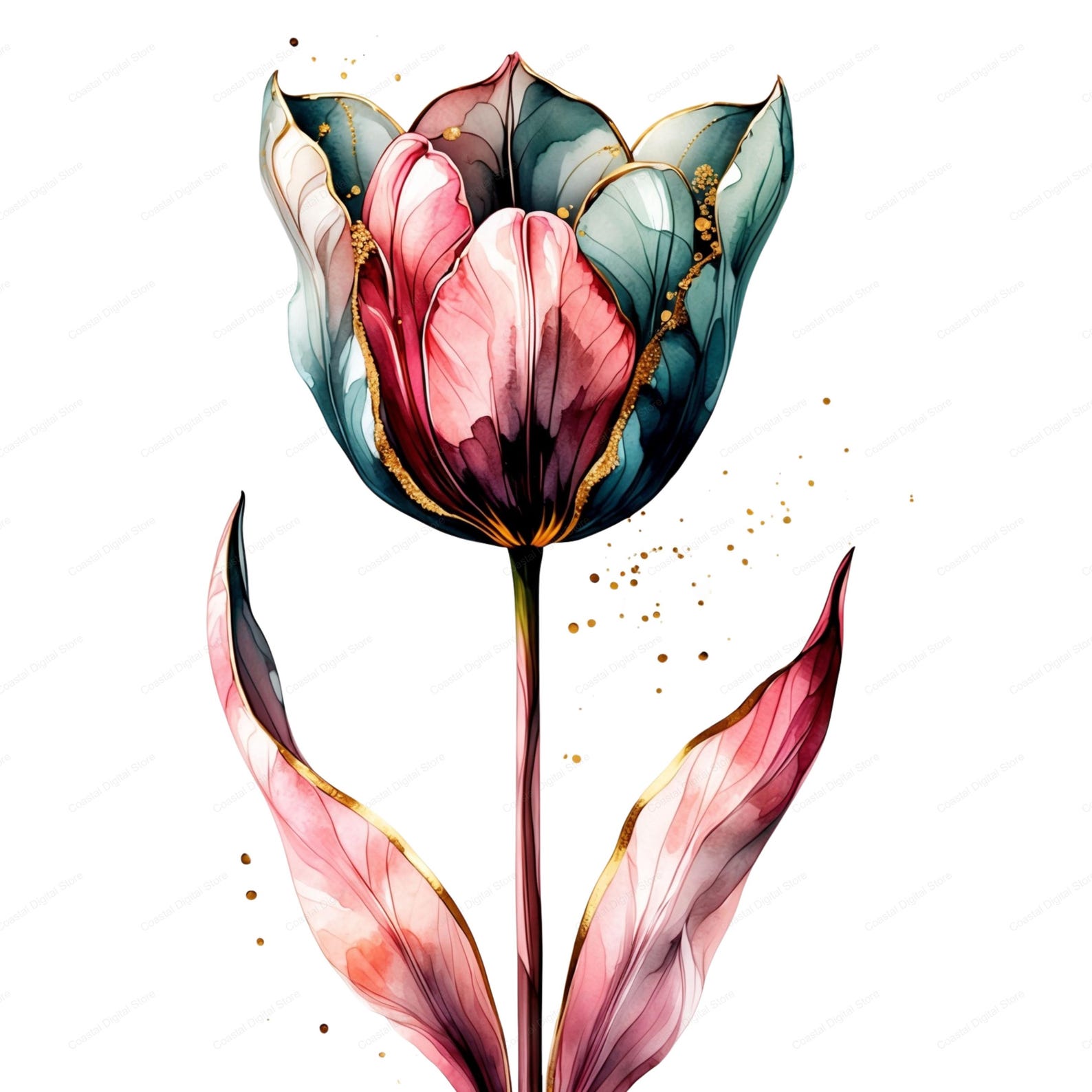 10 Watercolor Flowers Clipart: Abstract Floral PNG Bundle (digital ...