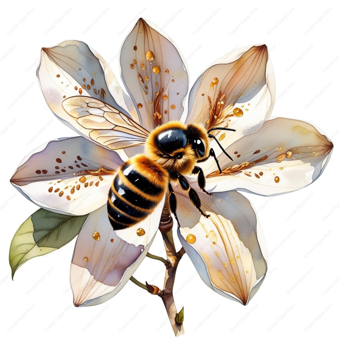 30 imágenes prediseñadas de abejas en acuarela: diseños de panales y ...