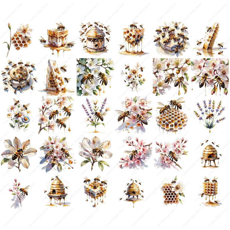 80 Watercolor Bee Clipart Bundle: Honeycomb & Floral Pngs (digital ...