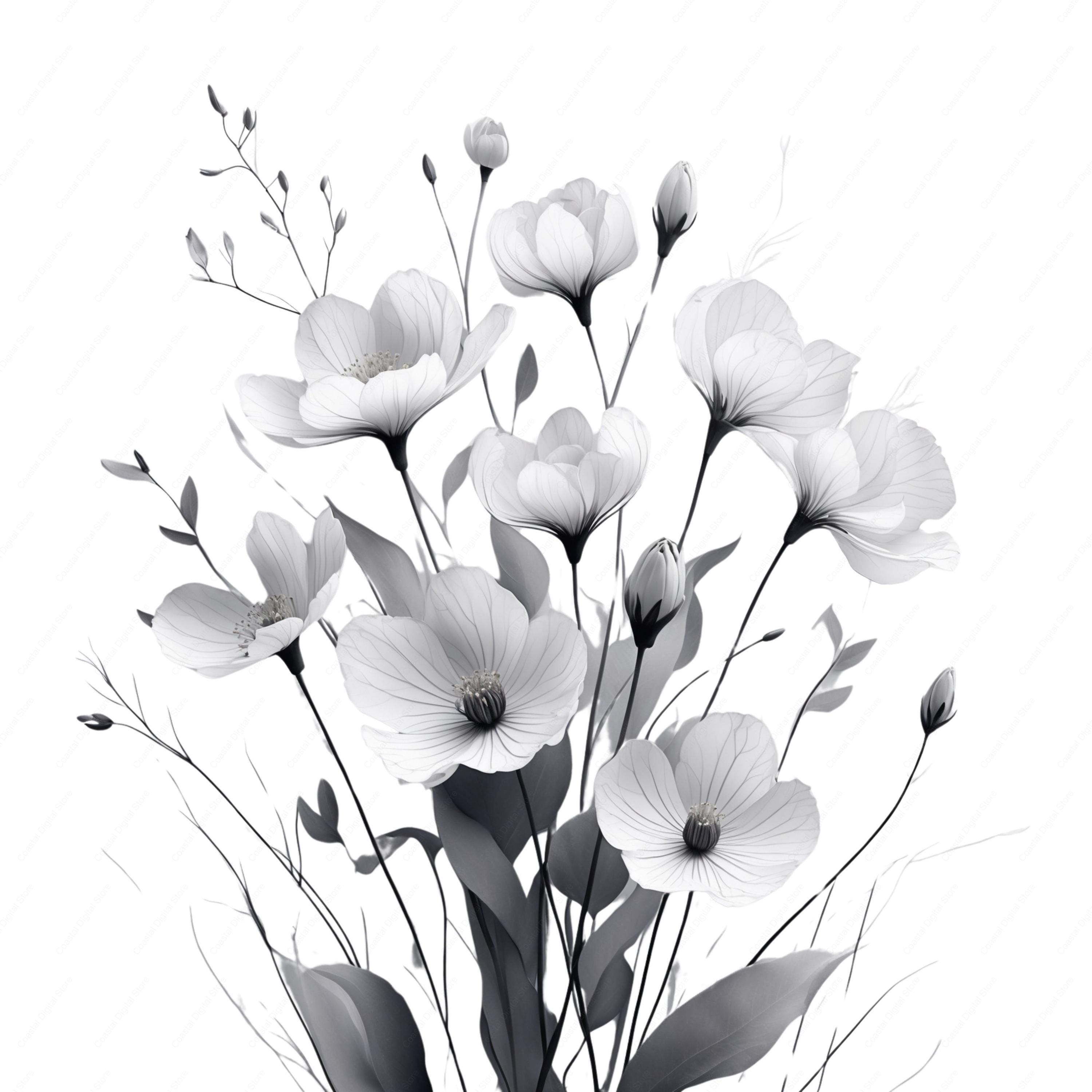 8 Wildflower Watercolor, Black & White Clipart, Digital Download ...