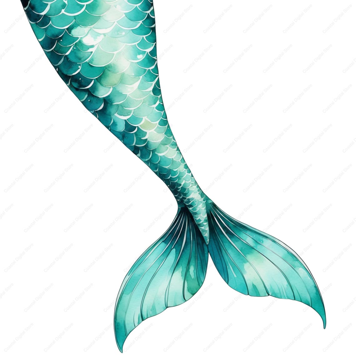16 Mermaid Tail Clip Art, Watercolor Mermaid Tails, Fantasy PNG, Ocean ...