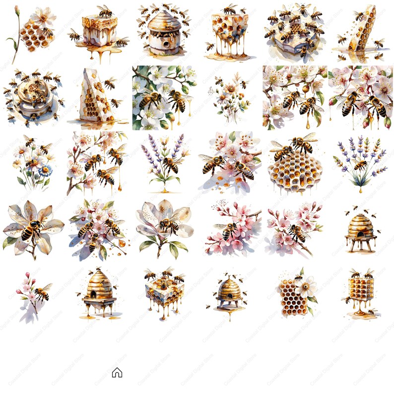 30 Watercolor Bee Clipart: Honeycomb & Hive Designs (digital Download ...