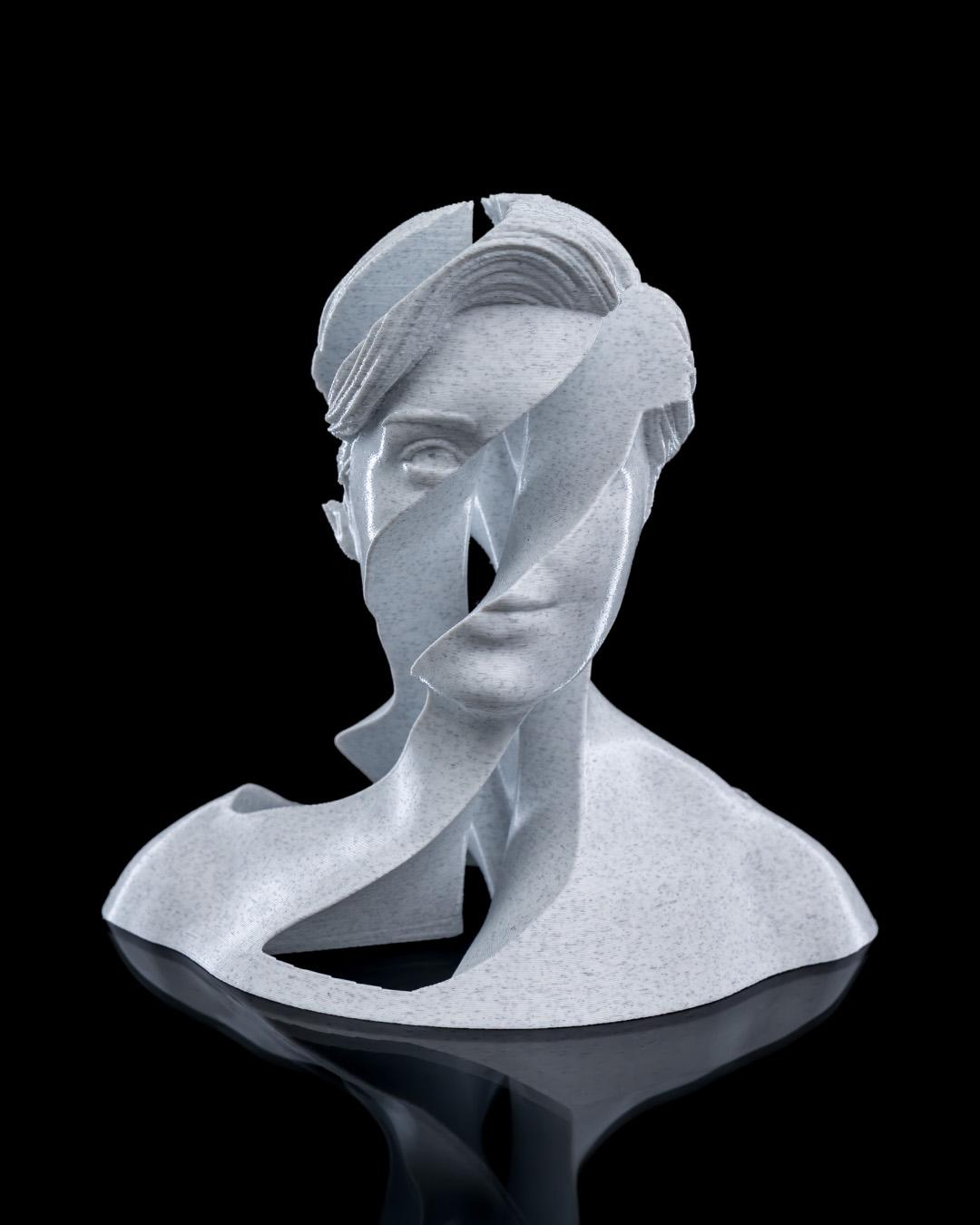 Whirl's Anatomy - 3D Printed Anatomical Fidget Toy for Art Lovers ...