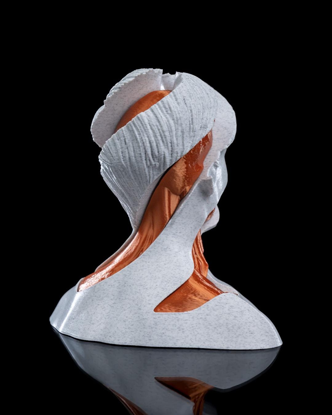 Whirl's Anatomy - 3D Printed Anatomical Fidget Toy for Art Lovers ...