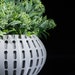 Xander Planter Versatile Greenery Holder for Indoor and Outdoor Use - Etsy