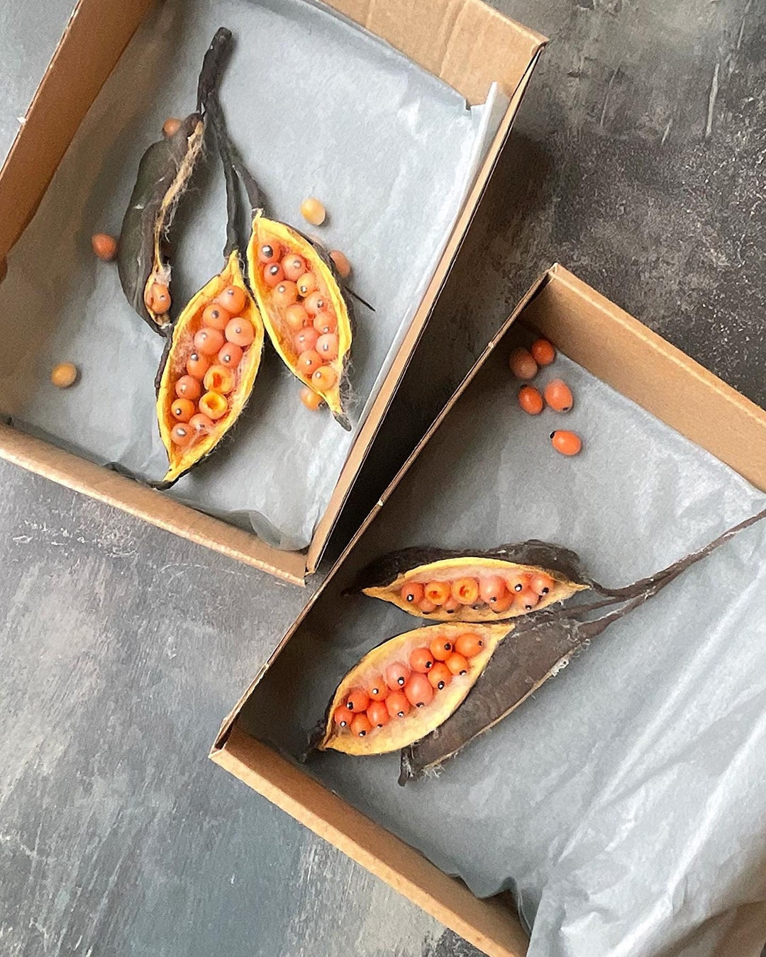 Bottle Tree Fruit Brooch, Nature Ornament, Woman Natural Brooch Cold ...