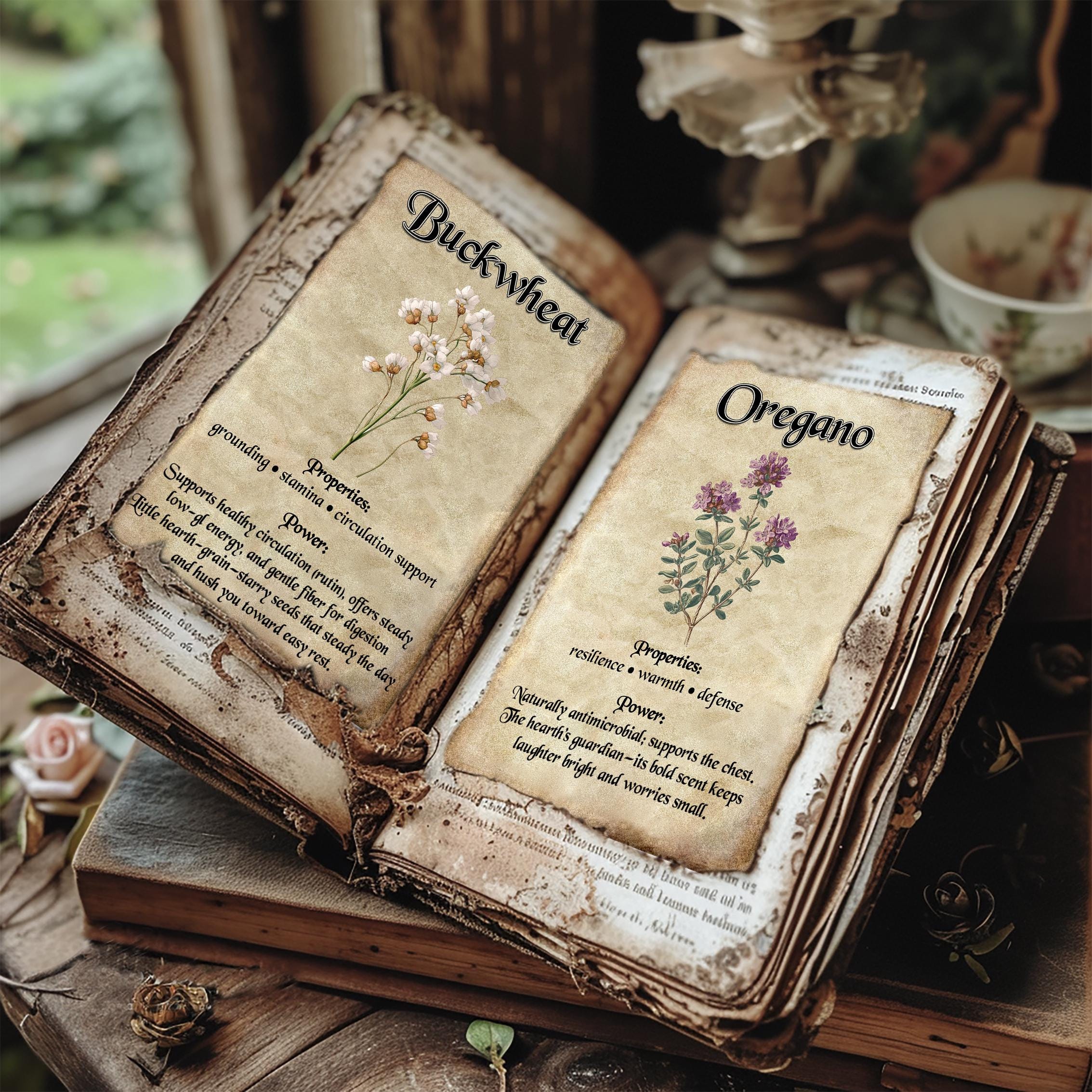 Witch Herb Apothecary Printable Botanical Card Pages Vintage Grimoire ...