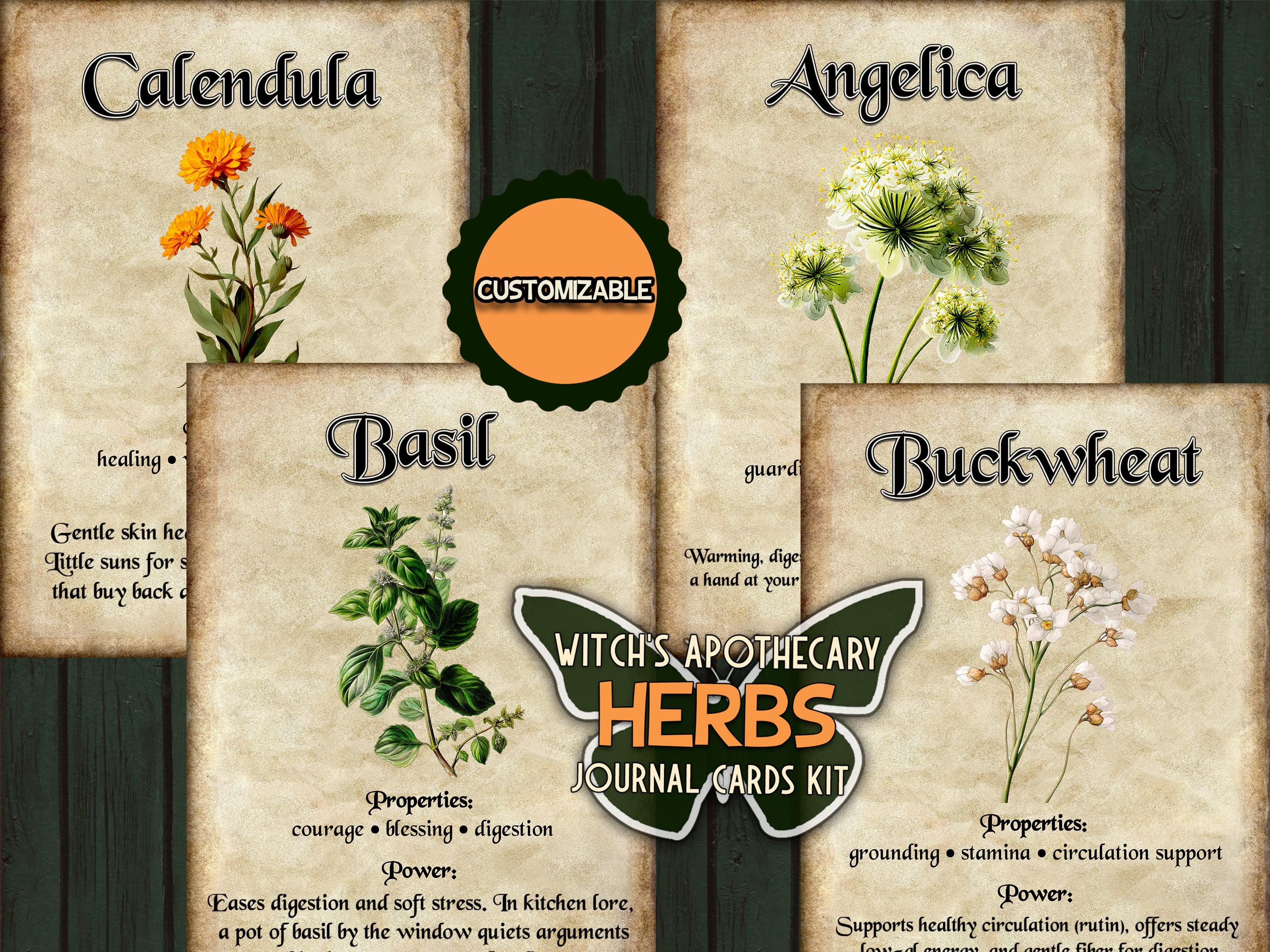 Witch Herb Apothecary Printable Botanical Card Pages Vintage Grimoire ...