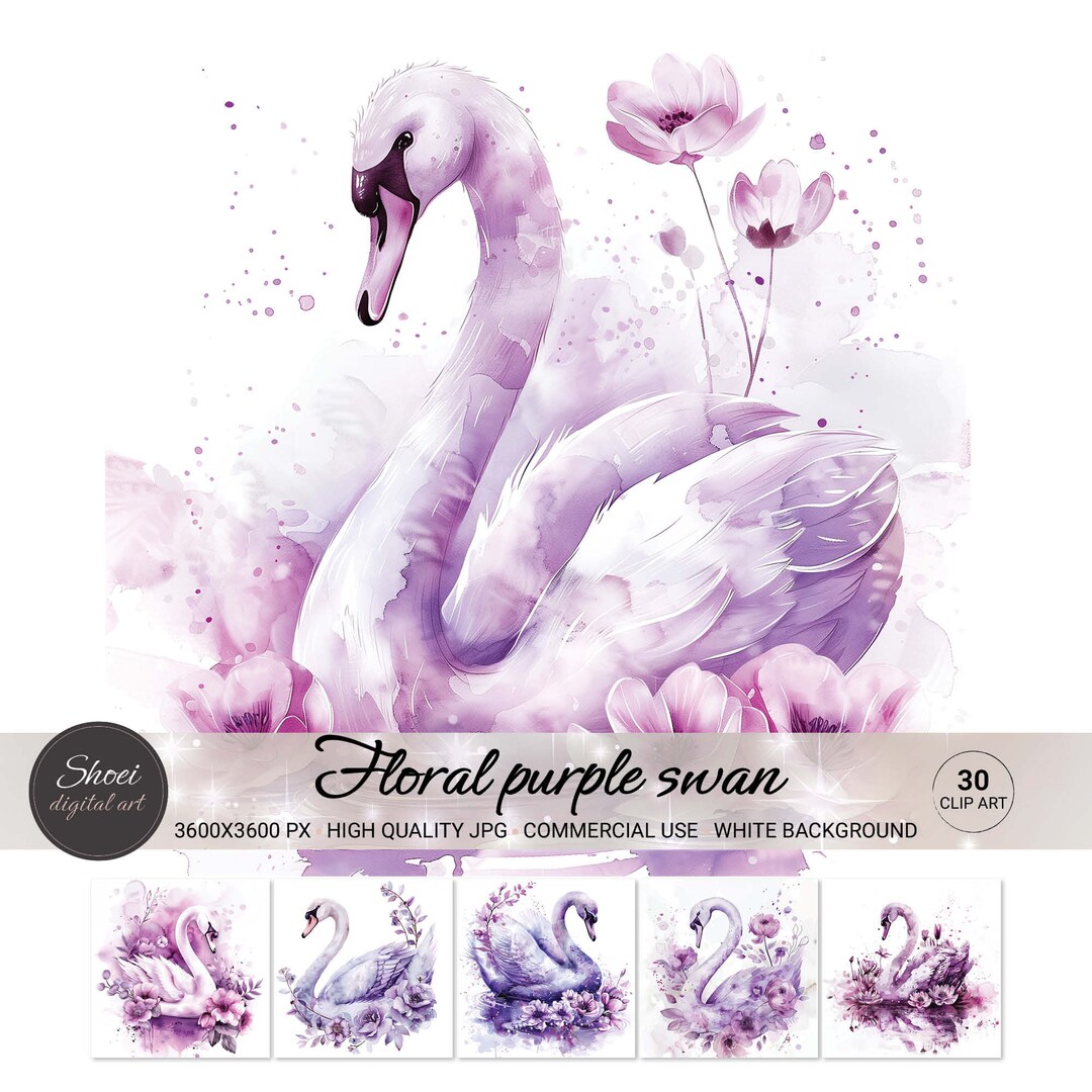 30 Floral Purple Swan Watercolor Clipart JPG Bundle for Art and Craft ...