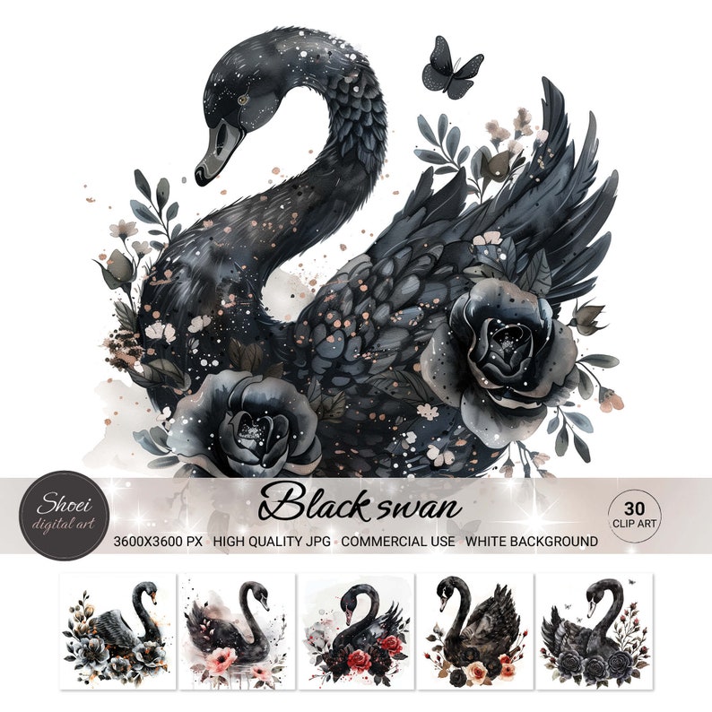 Elegant Black Swan Clipart Set | Gothic Watercolor Swan Art | Floral ...