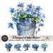 Blue Flowers Bouquet Clipart Bundle Digital Art for Scrapbooking, Card ...