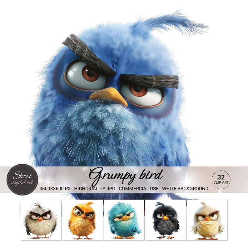 32 Grumpy Bird Watercolor CLIPART JPG for Art and Craft, Digital Paper ...