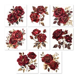 32 Dark Red Rose Watercolor Pink Clipart Bundle - Perfect for Art and ...