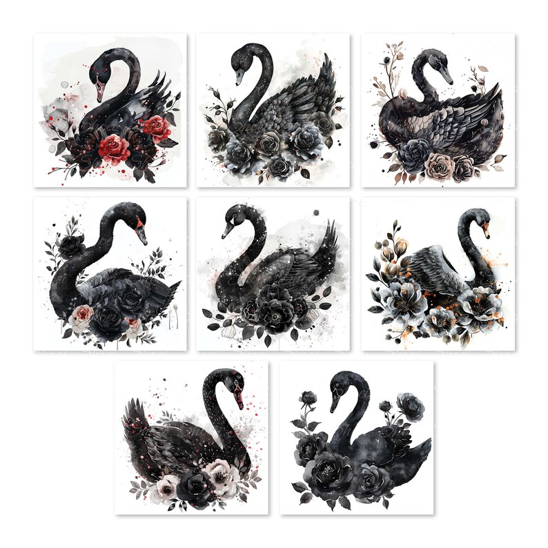 Elegant Black Swan Clipart Set | Gothic Watercolor Swan Art | Floral ...