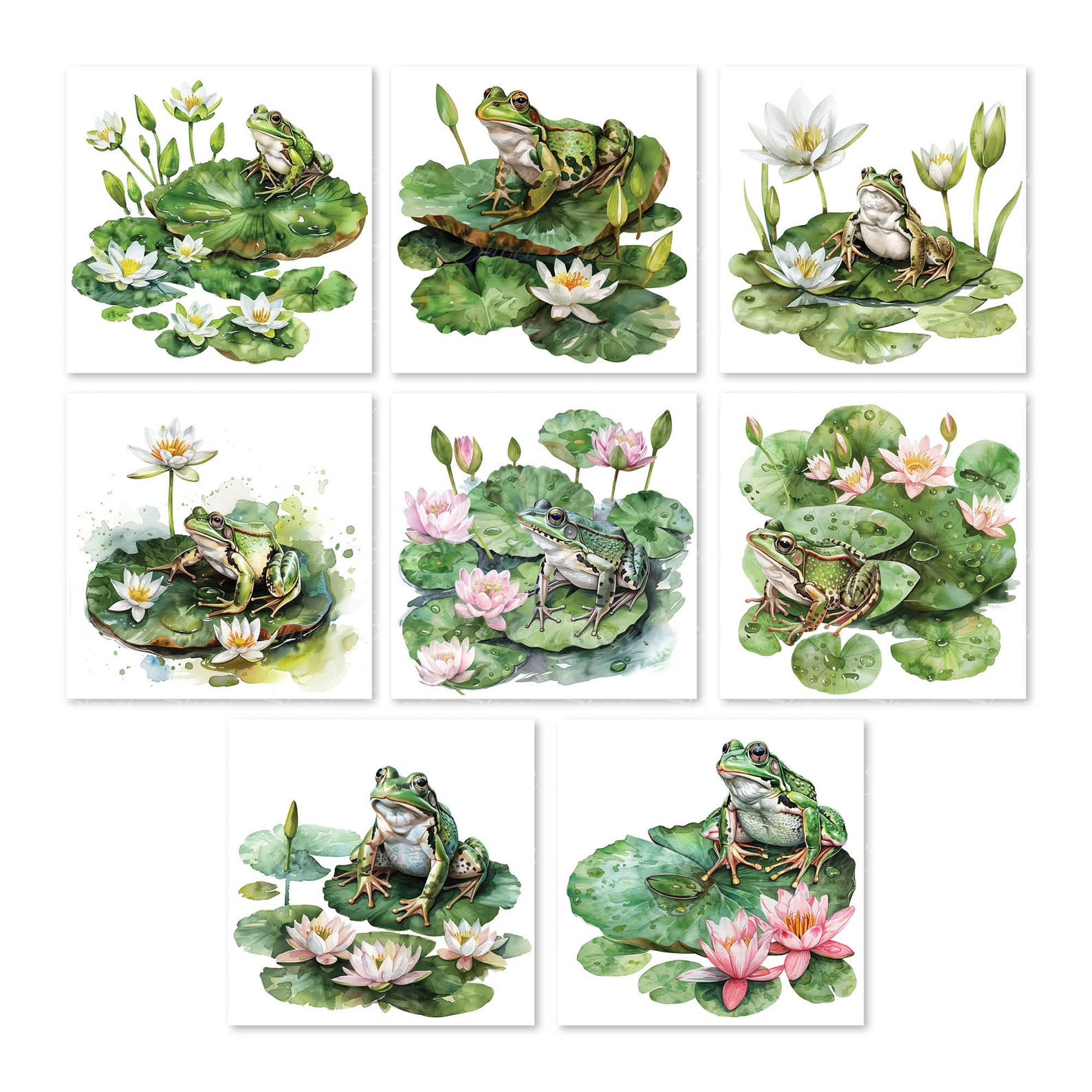 Watercolor Frog Pond Clipart: Botanical Lily Pad Art (32 JPG ...