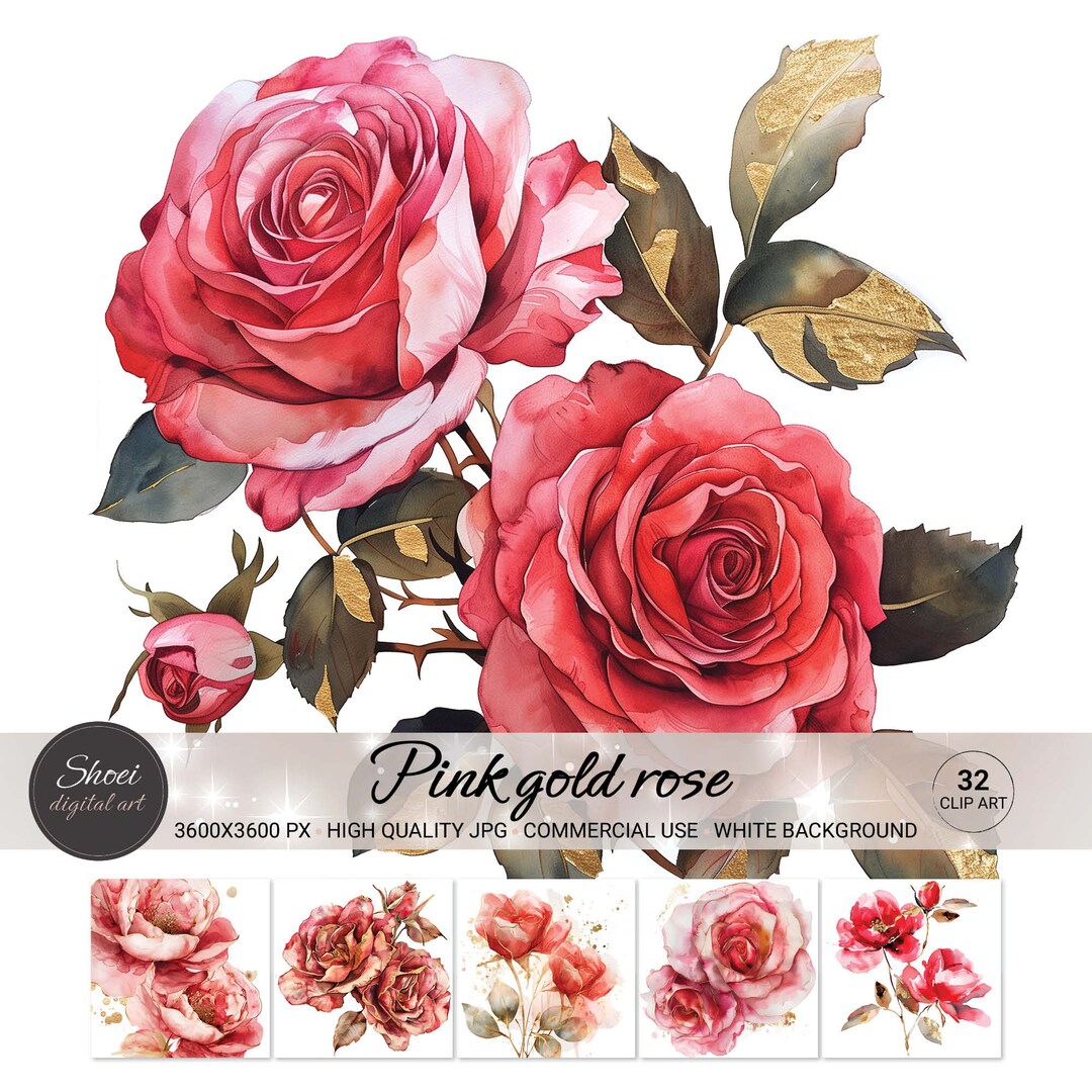 Pink Gold Rose Clipart: Watercolor Floral Art, Gold Leaf Accents (JPG ...