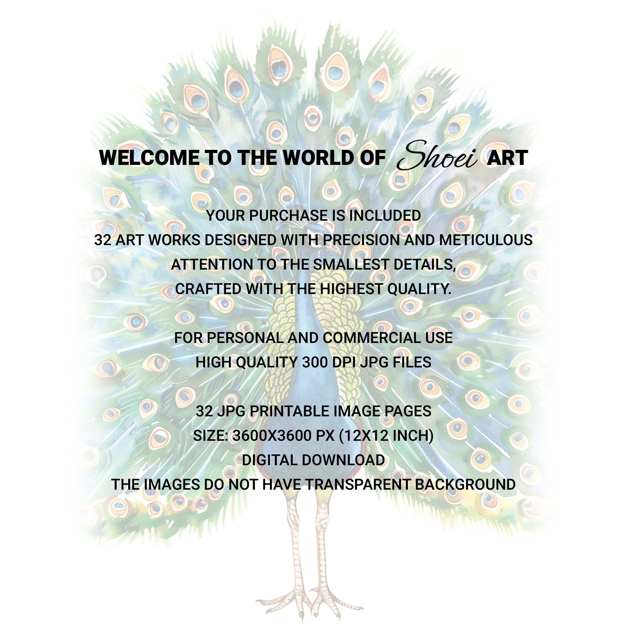 32 Peacock Feather Watercolor Clipart JPG for Art and Craft Projects ...