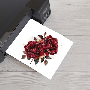 32 Dark Red Rose Watercolor Pink Clipart Bundle Perfect for Art and ...
