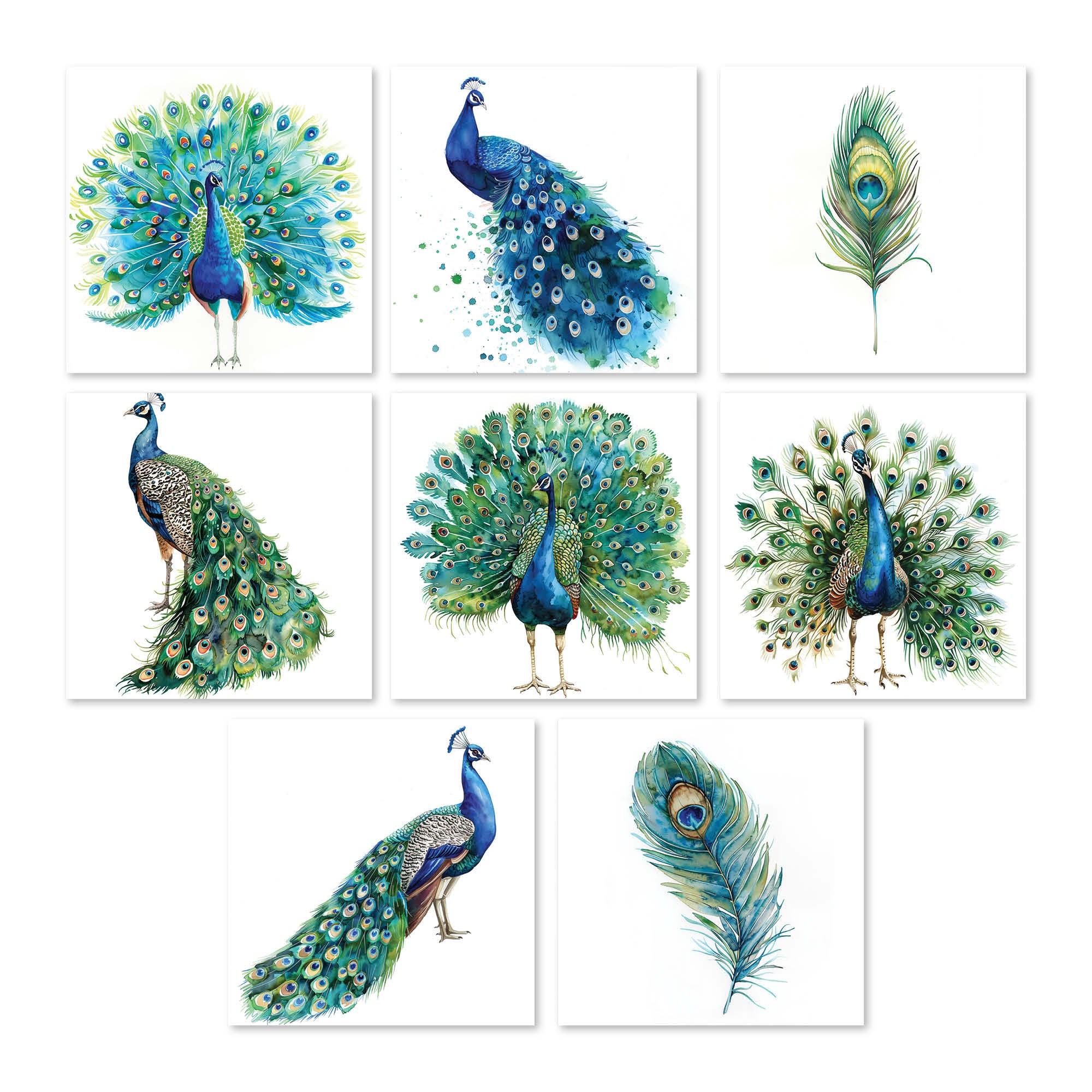 32 Peacock Feather Watercolor Clipart JPG for Art and Craft Projects ...