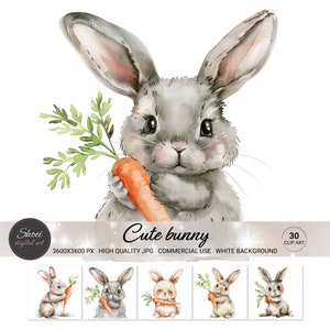 30 Cute Bunny With Carrot Watercolor Clipart - Art and Craft Projects ...