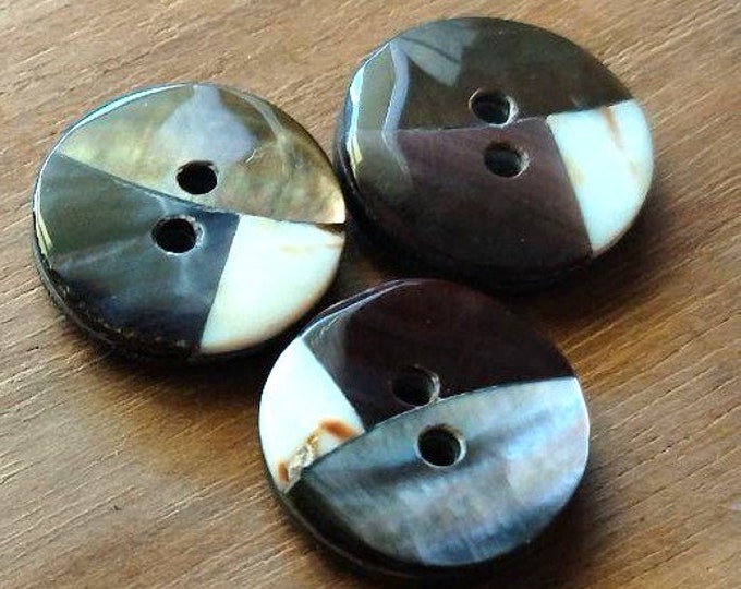 Unique Japanese Vintage Shell Buttons – Retro Elegance for Your ...