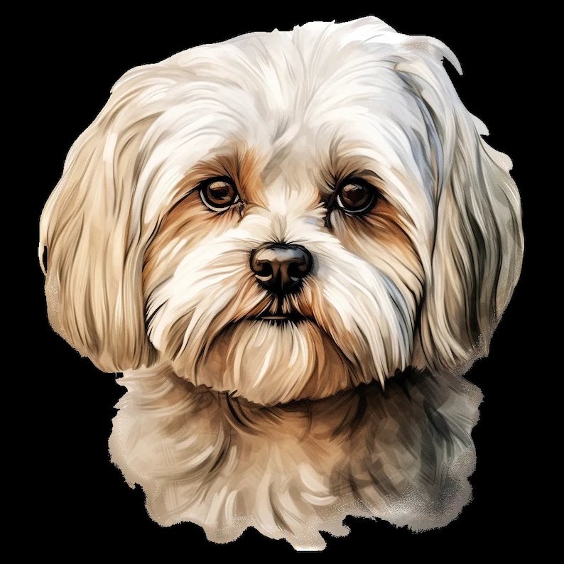 Maltese Digital PNG File Dog Illustration Maltese Clip Art Pet Lover's ...