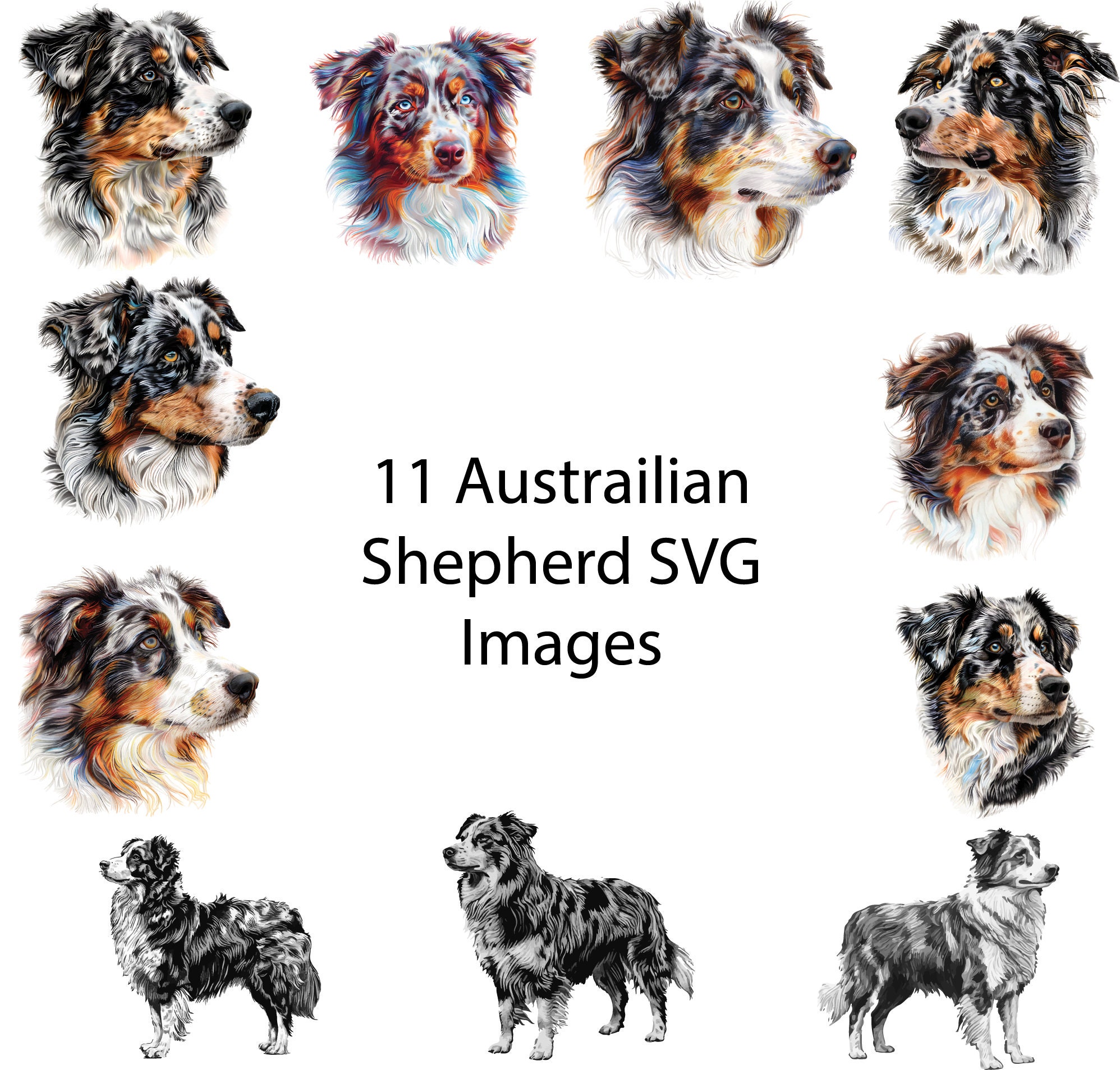 Australian Shepherd Digital SVG Files | Dog Illustration | Aussie Clip ...