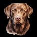 Brown Lab Digital PNG File | Dog Illustration | Brown Lab Clip Art ...