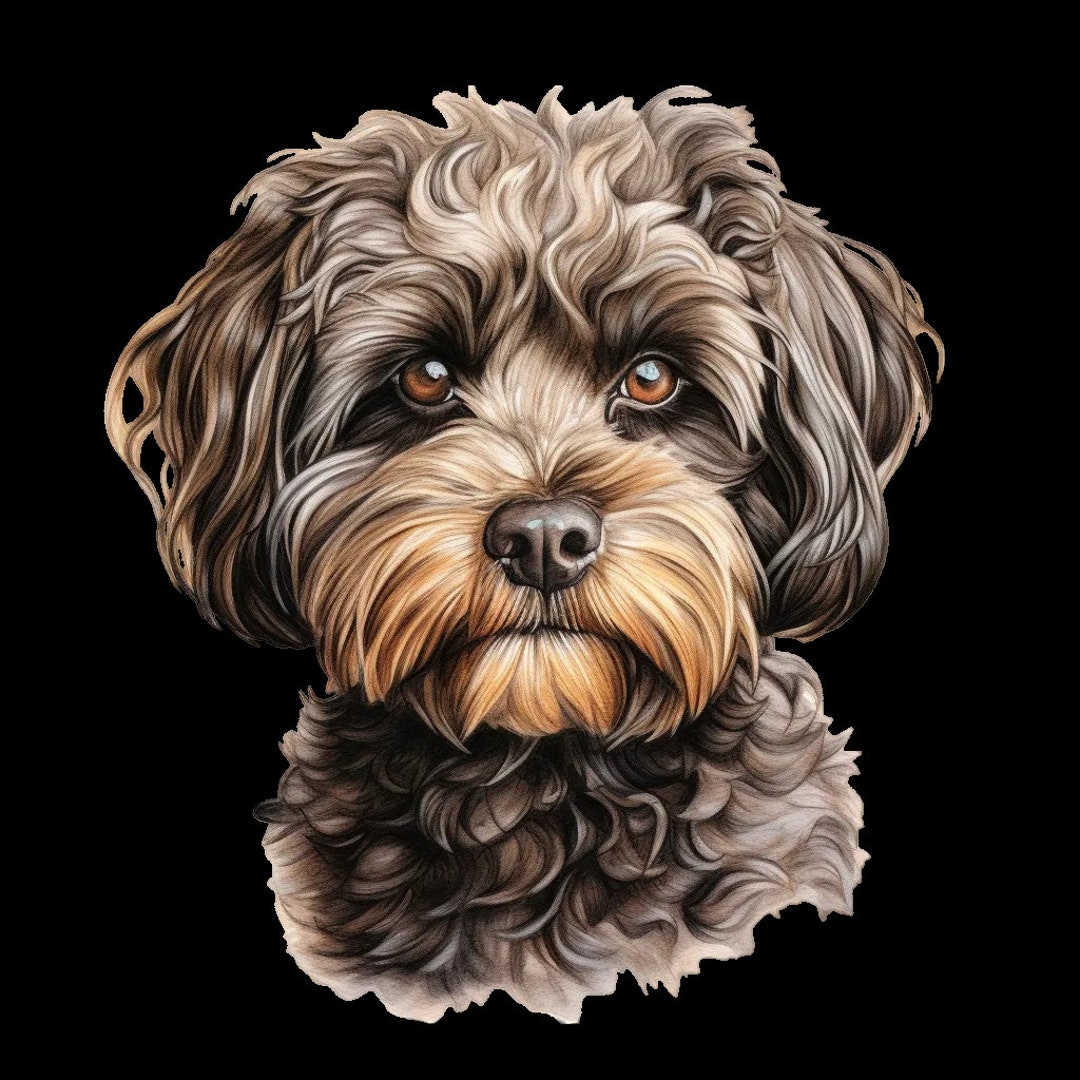 Shipoo Dark Digital PNG File | Dog Illustration | Shipoo Clip Art | Pet ...