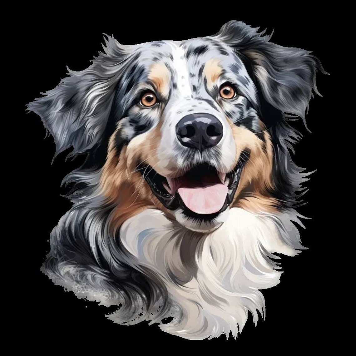 Australian Shepherd Digital PNG File | Dog Illustration | Aussie Clip ...