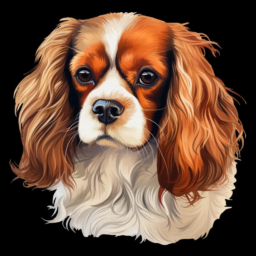 King Charles Digital PNG File | Dog Illustration | King Charles Clip ...