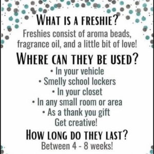 Succulent Car/small Room Freshie (air Freshener) - Etsy