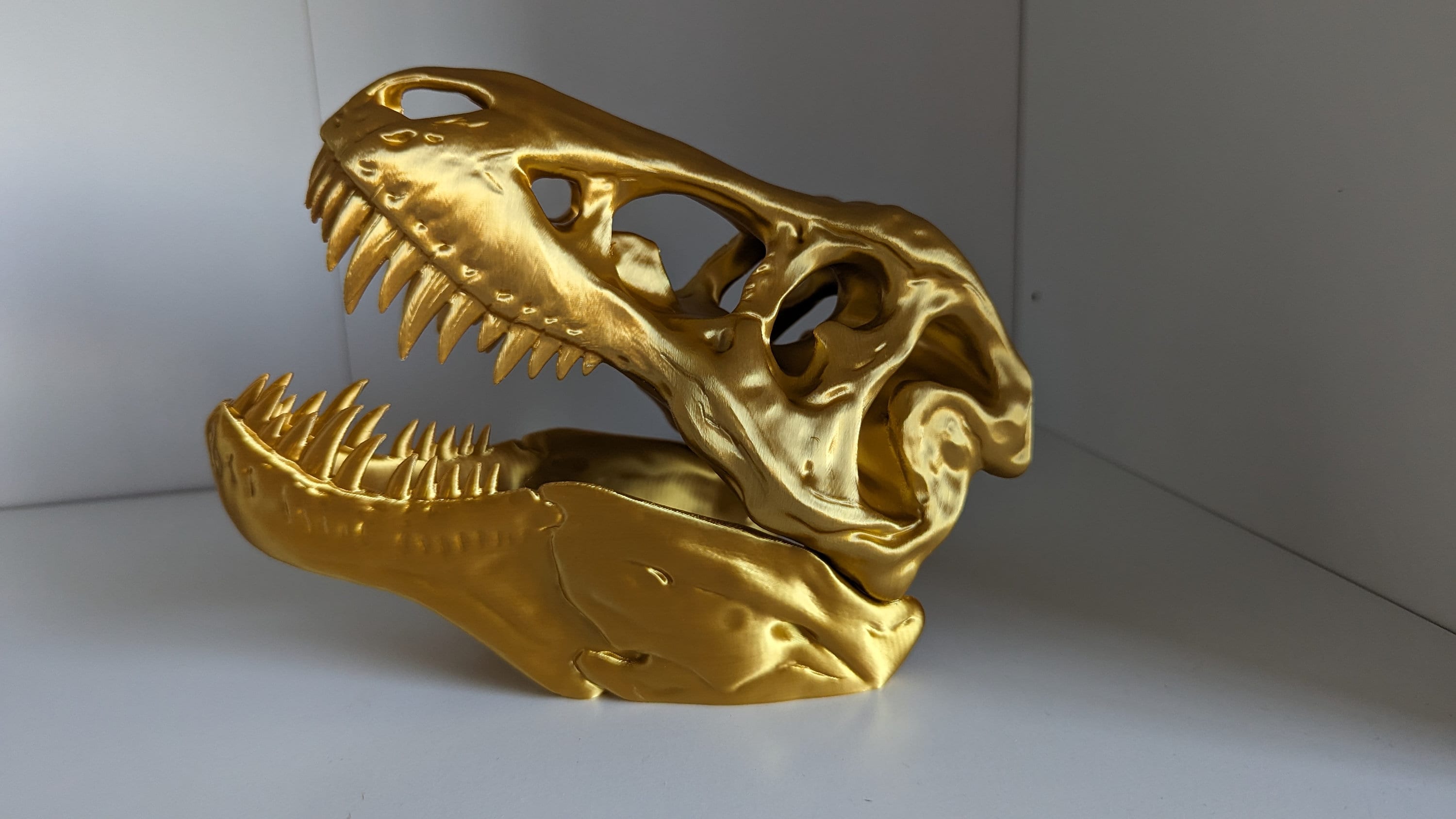 Impressive 3D Printed T-rex Skull Perfect Dino Decor - Etsy