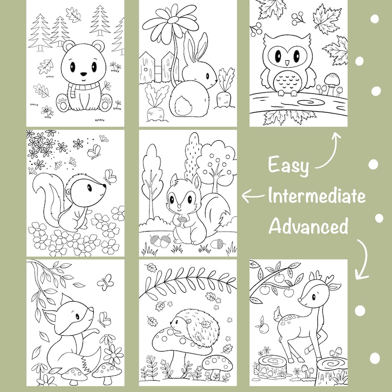 Woodland Animals Coloring Pages PDF, Forest Jungle Nature Theme Bundle ...
