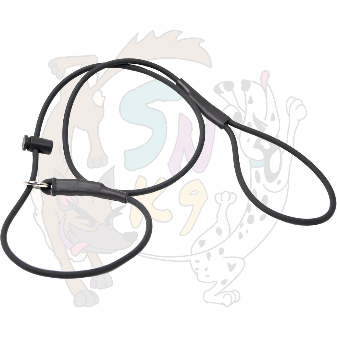 Biothane® Rope Adjustable Waterproof Dog Training Slip Leash - Durable ...