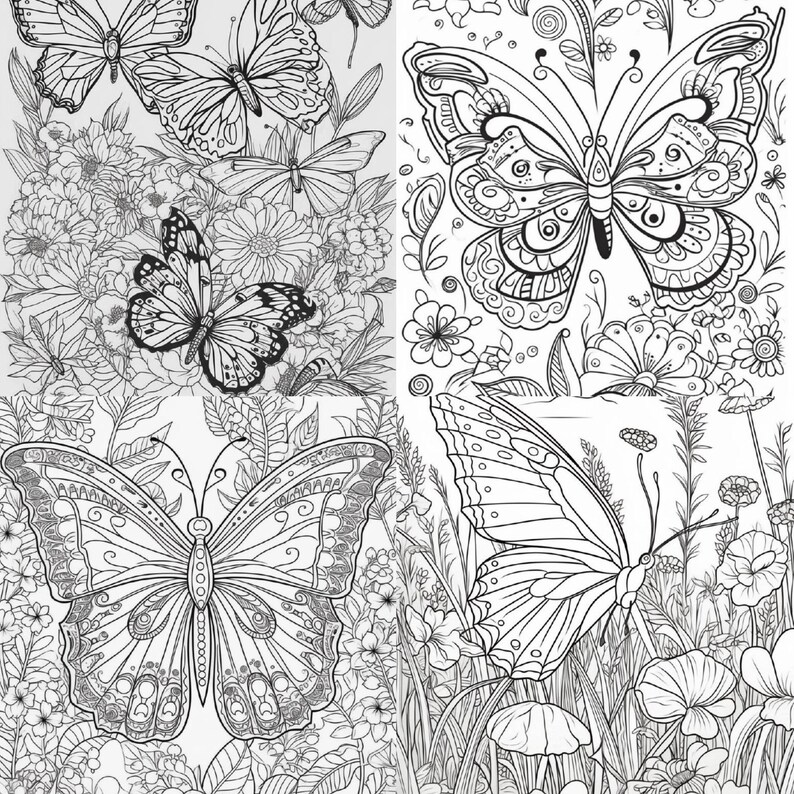 50+ Butterfly Coloring Book Pages Bundle - Adult, Children, Printable ...