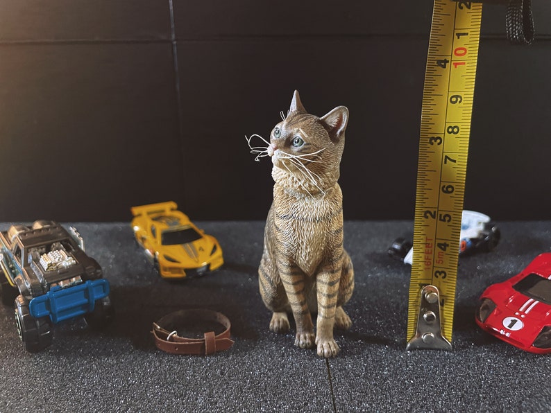 Homie Cat - Etsy