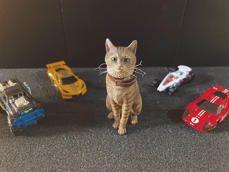 Homie Cat - Etsy