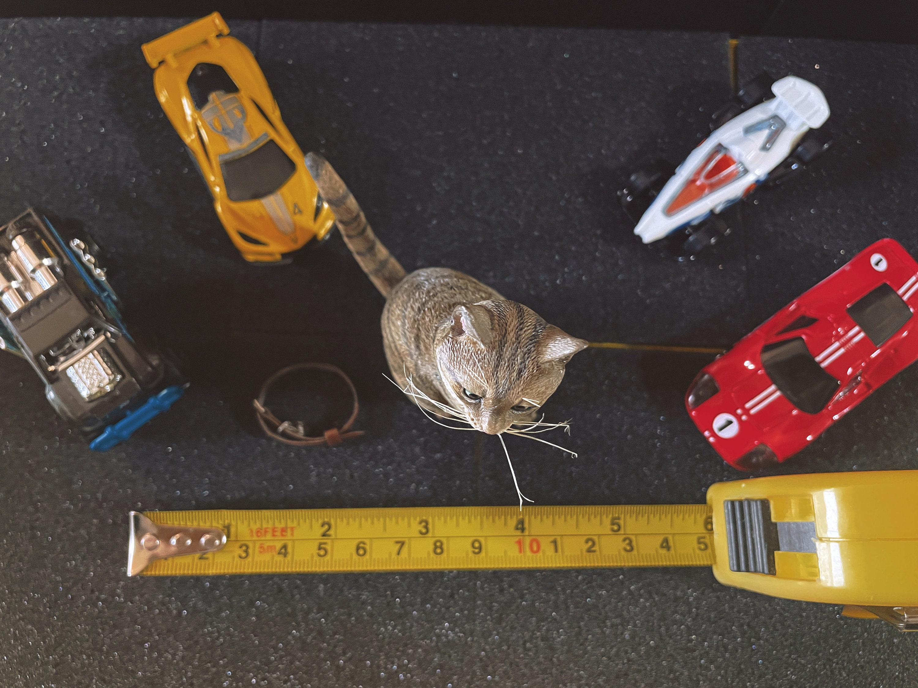 Homie Cat - Etsy