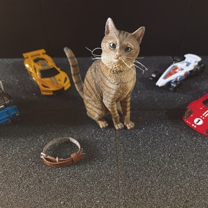 Homie Cat - Etsy
