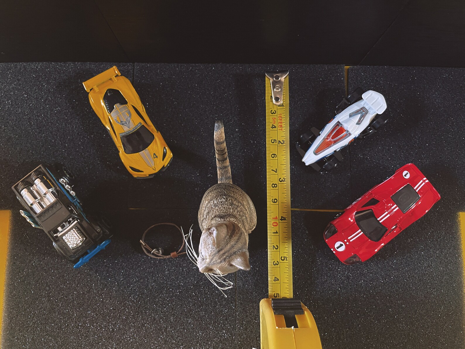 Homie Cat - Etsy