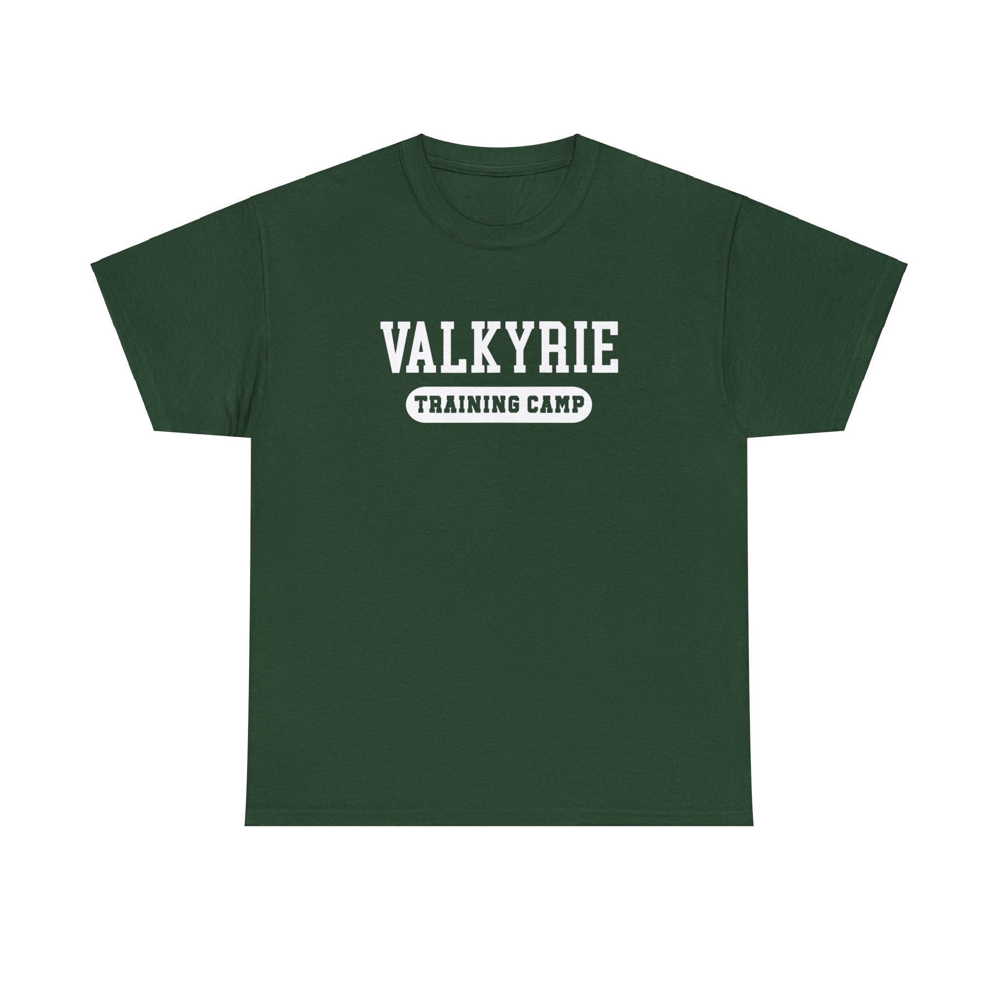 Valkyrie Training Camp Shirt, Illyrian Mountains Shirt, ACOTAR Shirt ...