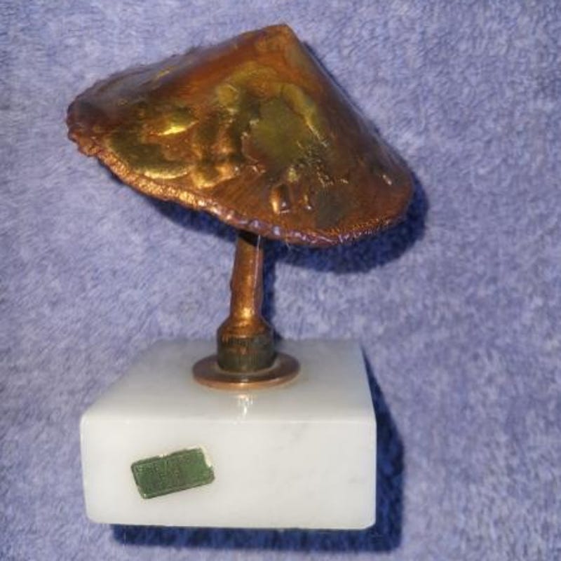 Mushroom Vintage Signed - Etsy