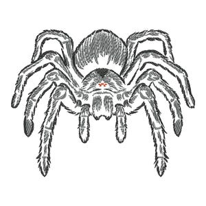 Realistic Tarantula Spider Embroidery Design - Creepy Halloween ...