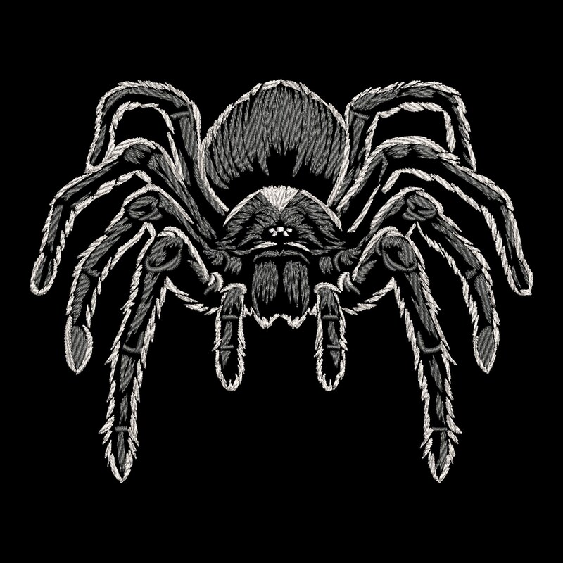 Tarantula - Etsy