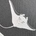 Graceful Stingray Embroidery Design Oceanic Manta Ray Pattern for Black ...