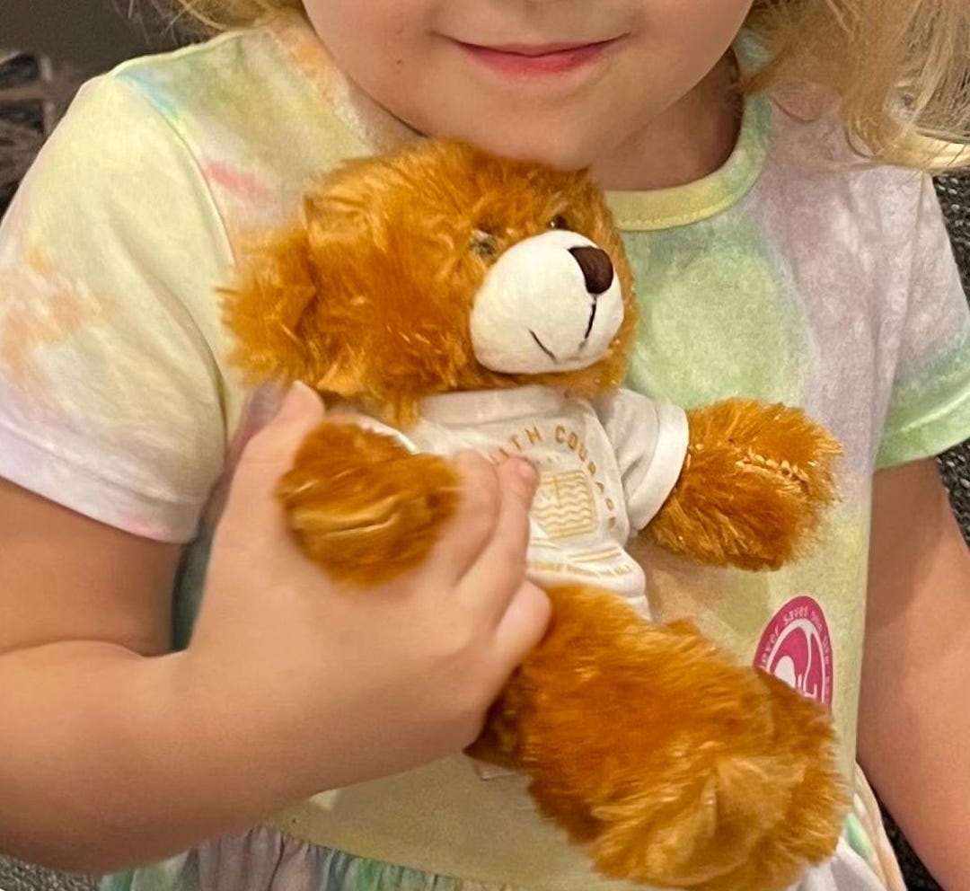 Teddy Bear Stuffed Animal With Live With Courage® Tee - A Sweet ...