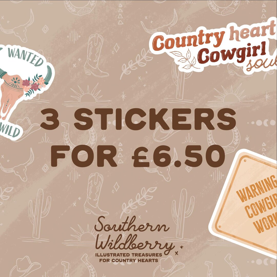 Any 3 Western Stickers Bundle Western Sticker Pack Variety Pack Cowgirl ...